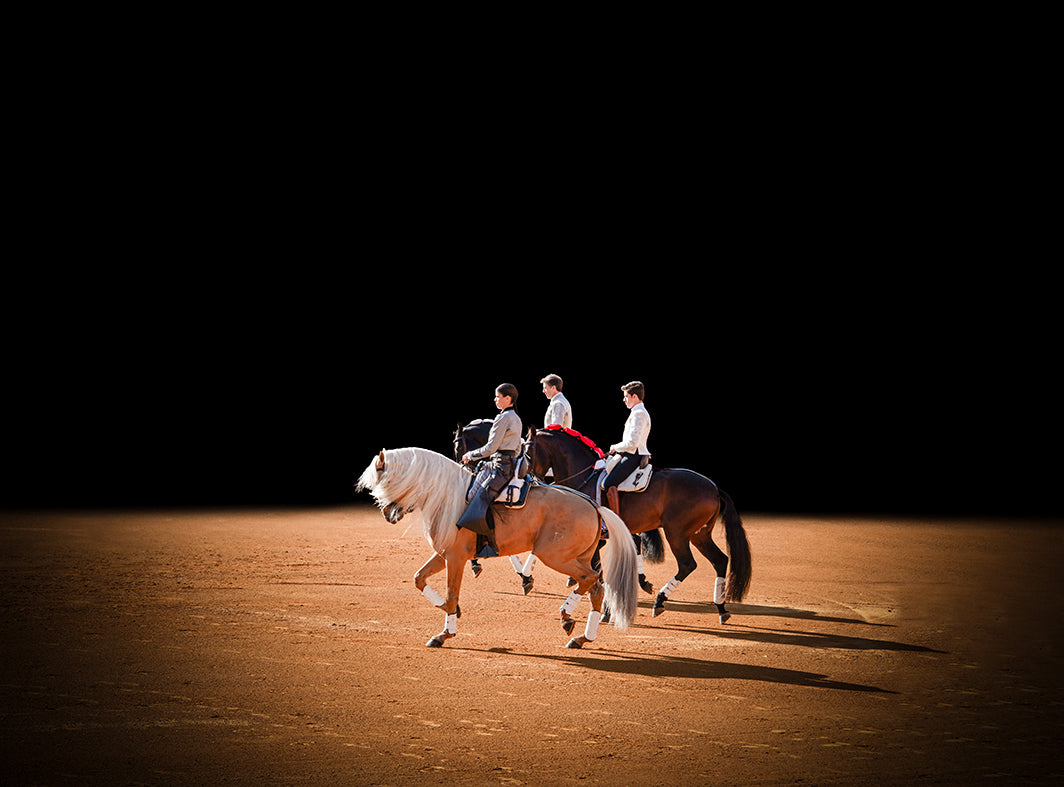 De la serie El baile del caballo español – GDA Contemporáneo